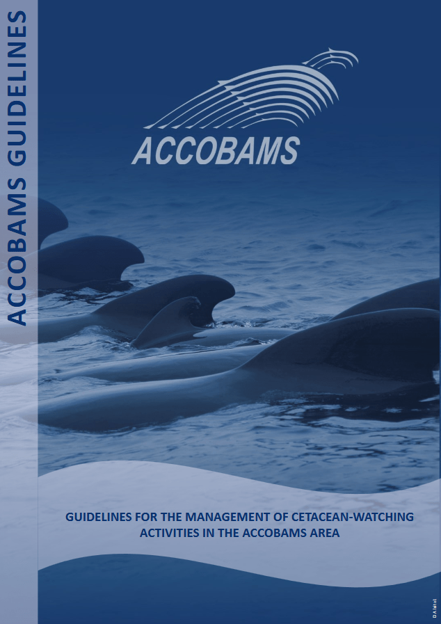 Guidelines for the management of cetacean watching activities in the ...